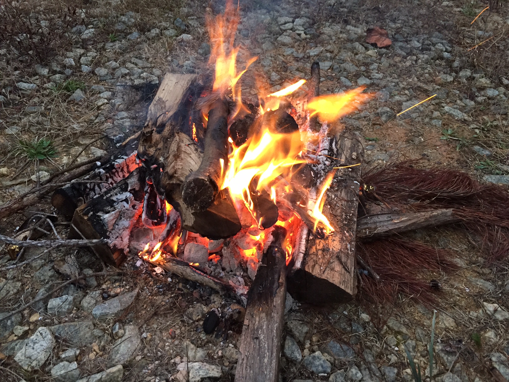 The Campfire - 1895Gunner